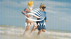 SANDAYA – agence – elvis.